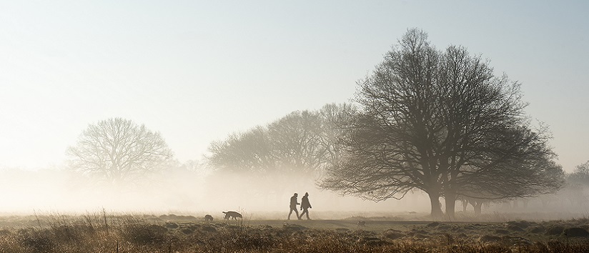 Winter walking routes to boost wellbeing during the pandemic