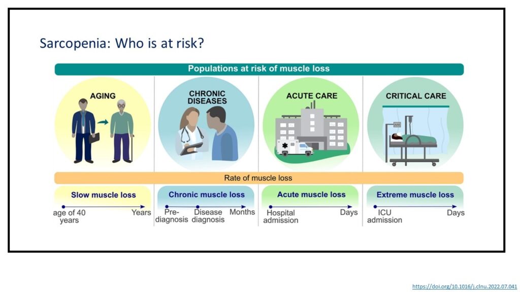 The role of nutrition in prevention and management of frailty ...